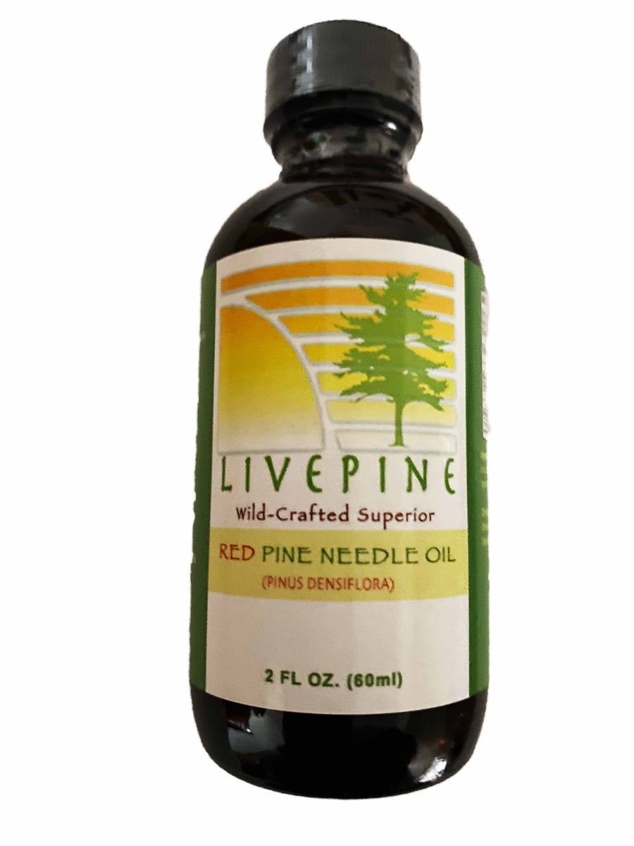 Red Pine Needle Oil 2oz | Superior Pine Oil by Live Pine USA